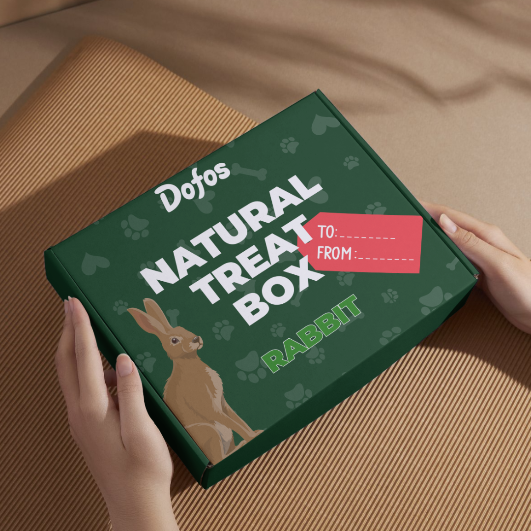 Natural Dog Treat Box – Dofos Pet Centre