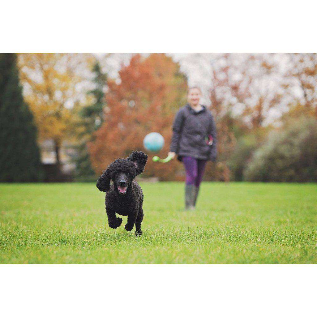 ChuckIt Sport Ball Launcher Dog Toy – Dofos Pet Centre