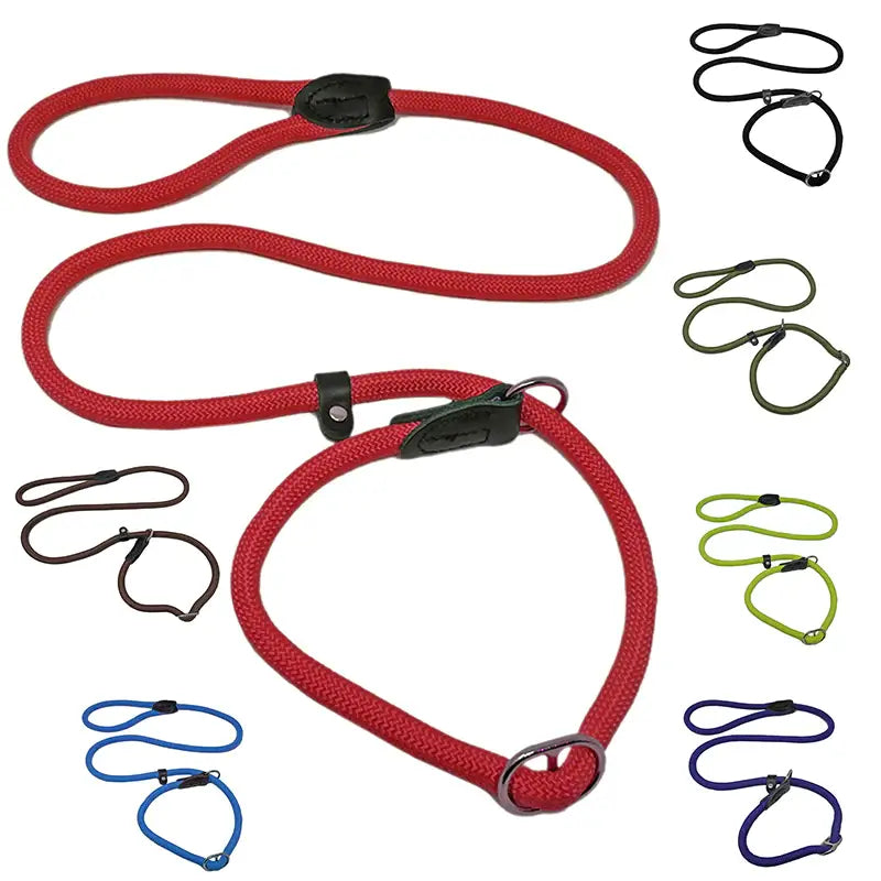 Slip Dog Lead with Figure 8 Training Aid – Dofos Pet Centre